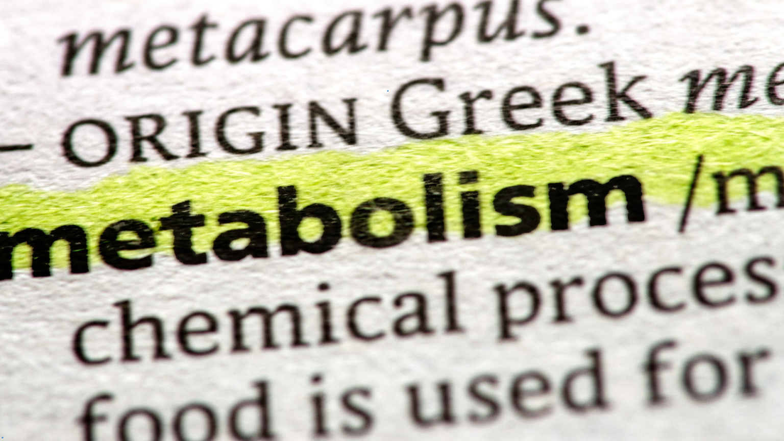The Anti-Resolution : Why 2026 is the Year of Metabolism